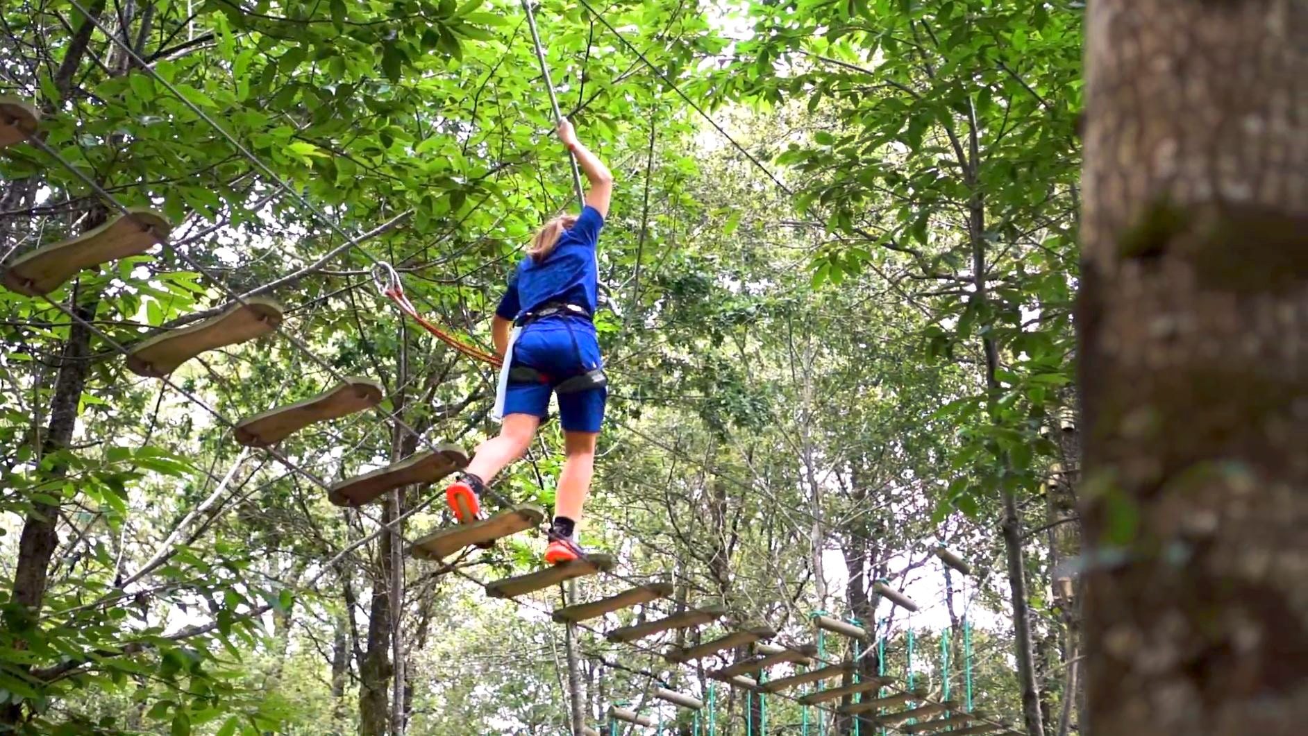 ACCRODEFIS : Parc Aventure Accro-Branche & PaintBall en Charente
